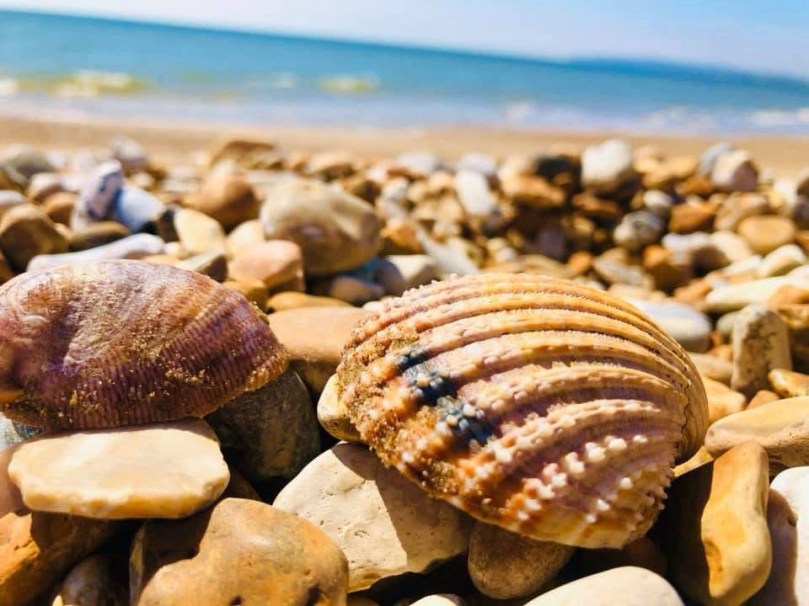 Soft Light, Strong Heart – Energy of the Day – Monika Tkaczyk